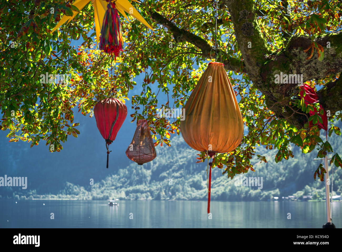 Chinese Lanterns Hanging from a Tree in Hallstatt Stock Photo - Alamy