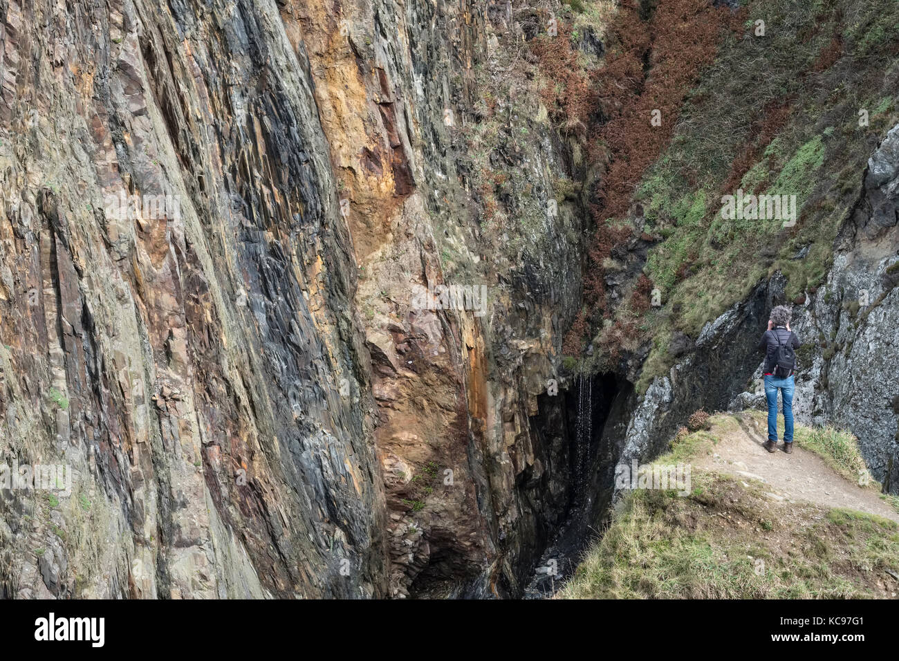 Pwllcrochan Bay on the Pembrokeshire Coastal Path, Wales, UK. A walker ...