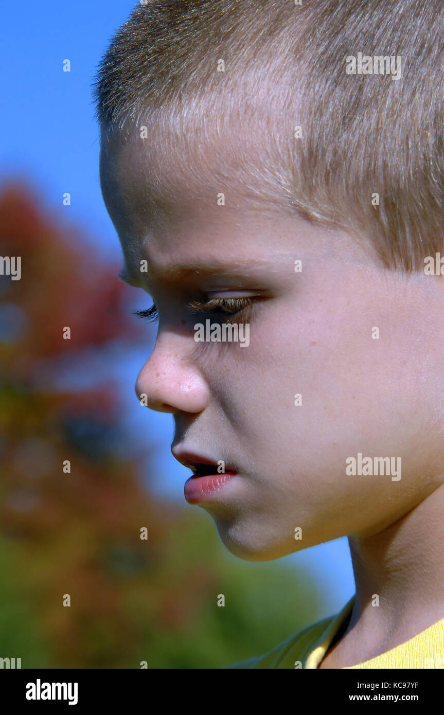 Extremely long nose hi-res stock photography and images - Alamy