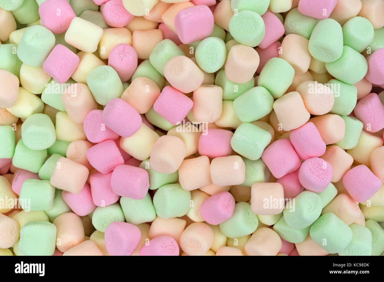 Close view of colorful pastel hued miniature green, pink, yellow and ...