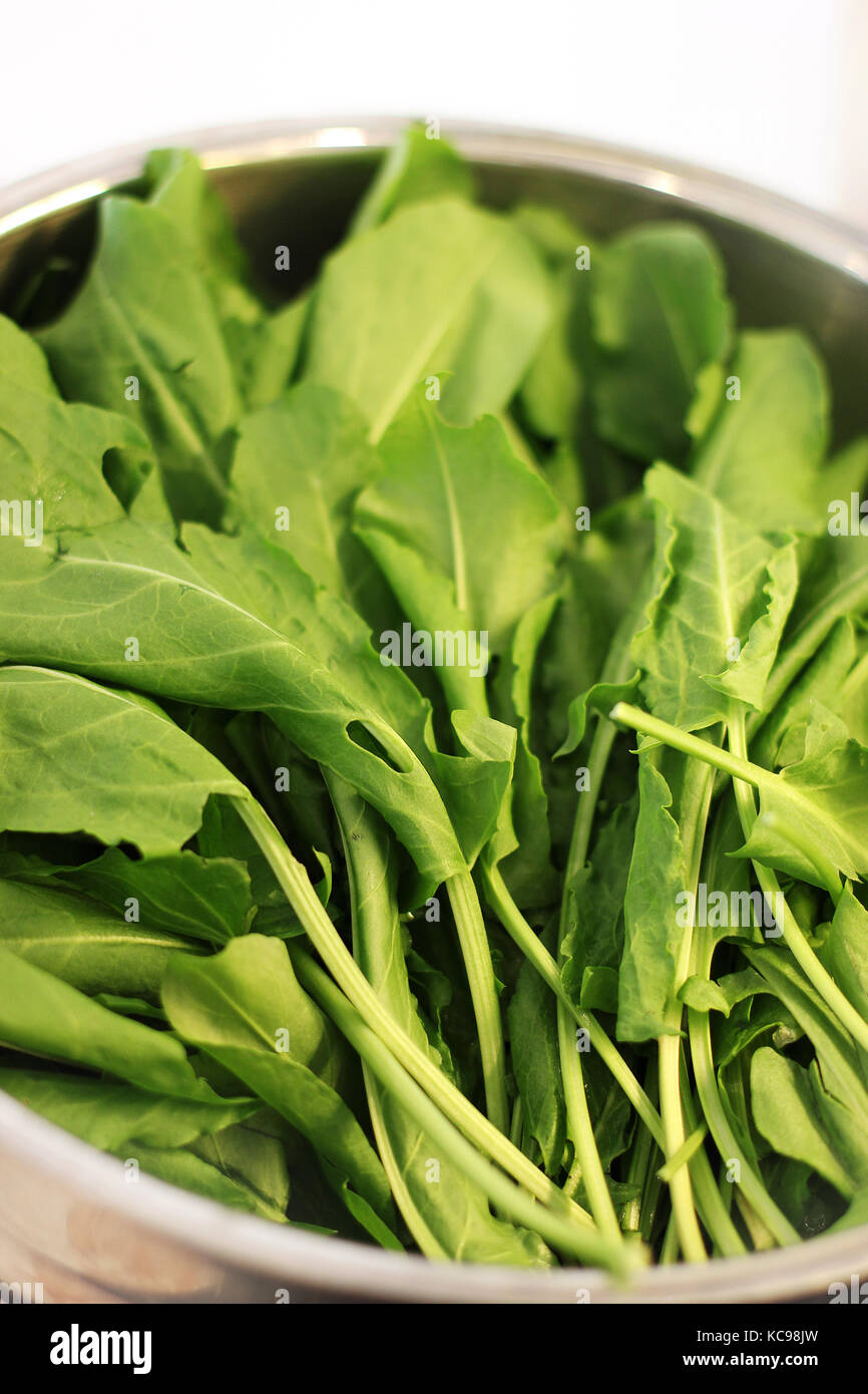 Green leaves of arugula in a silver bowl Stock Photo - Alamy