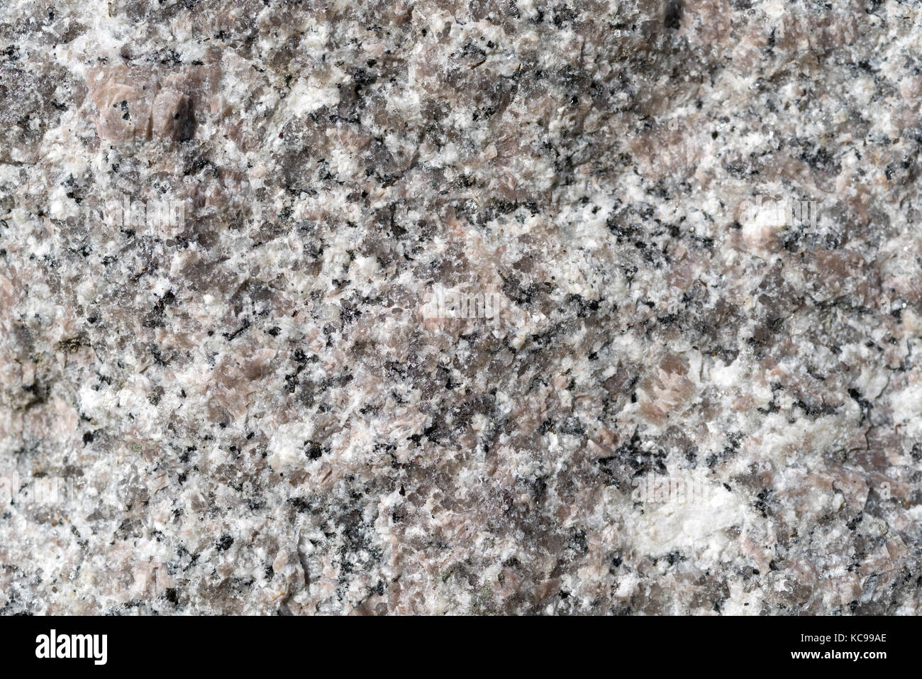Close view of a polished stone with reds, whites, blacks and grays ...