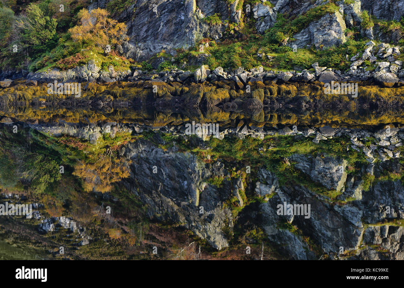 Loch Long, abstract reflections Stock Photo - Alamy