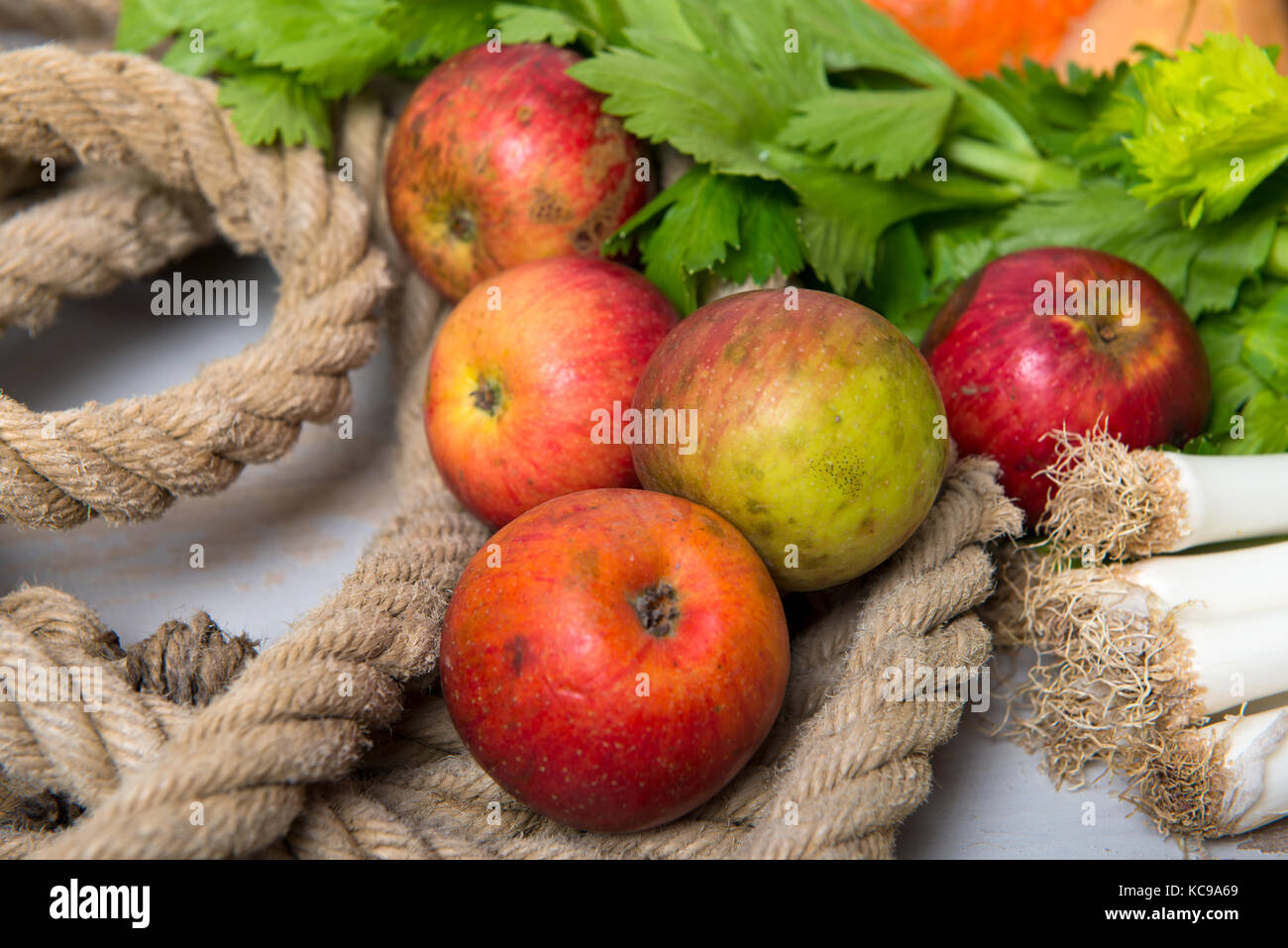 some organic apples on a rope in the shed Stock Photo - Alamy