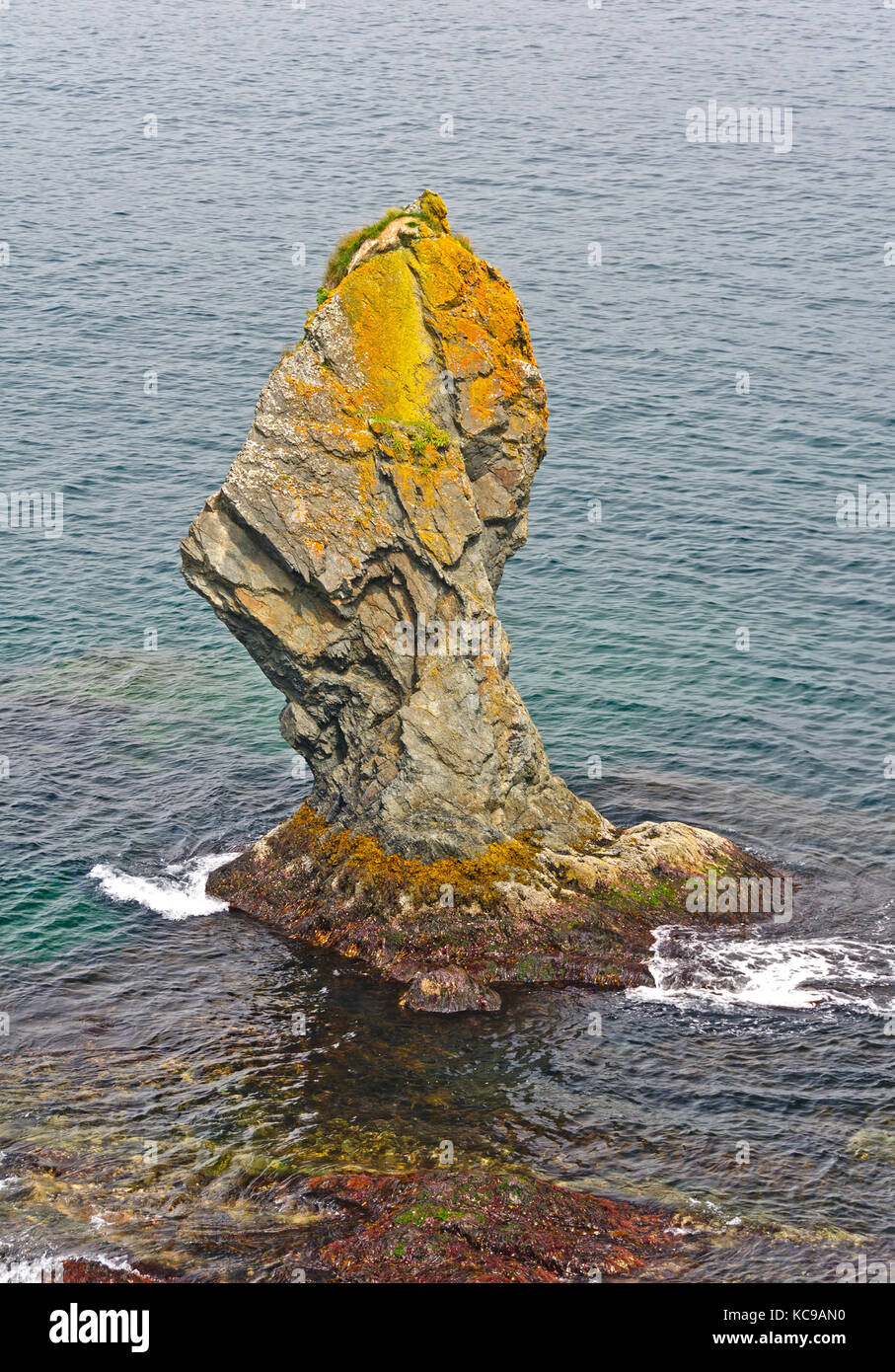 Unique Sea Stack on the Skerwink Trail in Newfoundland Stock Photo - Alamy