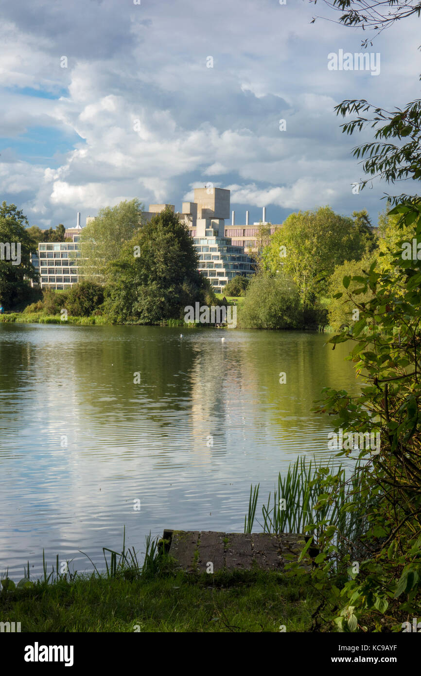 The Broad, UEA, Lake Stock Photo - Alamy