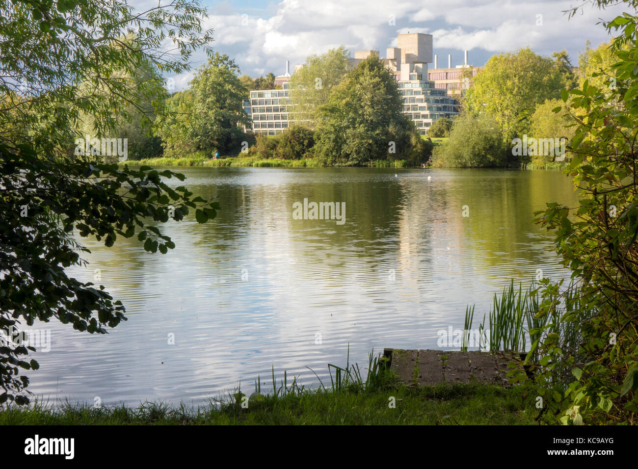 The Broad, UEA, Lake Stock Photo - Alamy