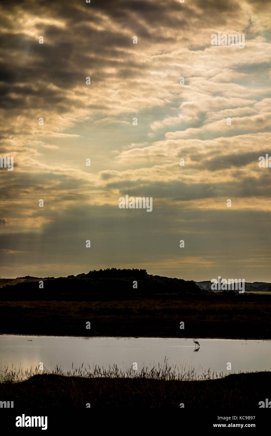 Cley, Marsh, marshes, North Norfolk Stock Photo - Alamy