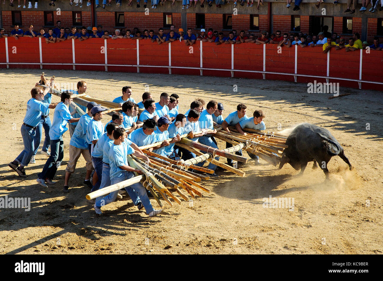 Traditional medieval bullfight (capeia raiana) in Soito, Sabugal ...