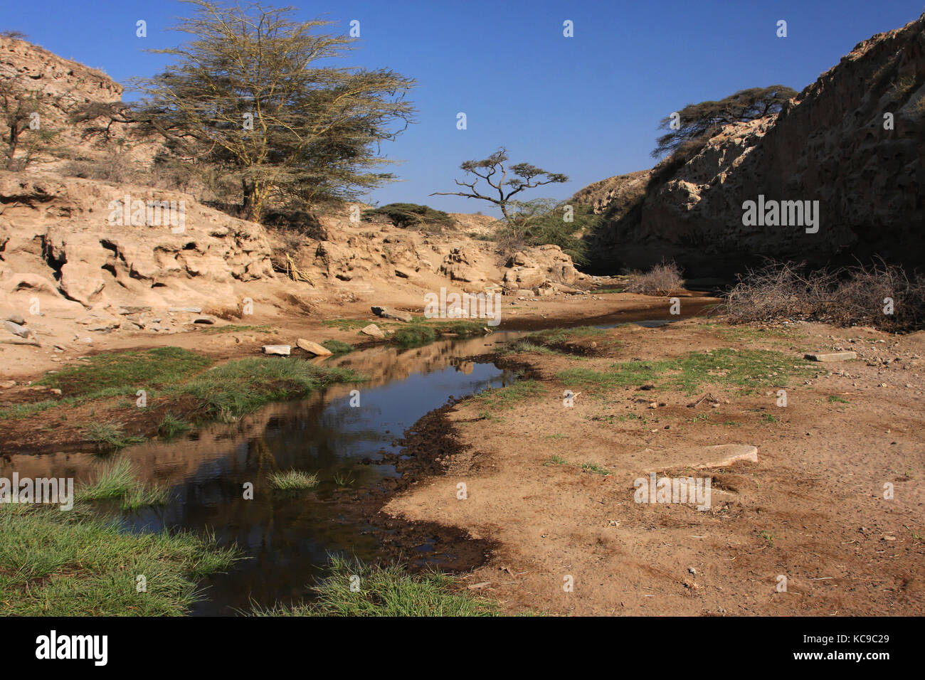 River landscape in Masai Land Stock Photo - Alamy