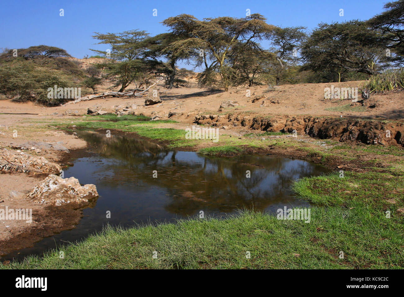 River landscape in Masai Land Stock Photo - Alamy
