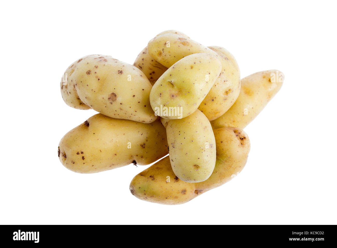 French new potato tuber isolated on white background cutout Stock Photo ...