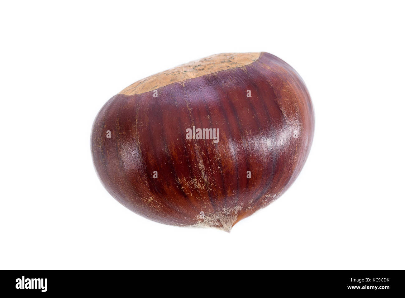 Heap chestnuts on white Cut Out Stock Images & Pictures - Alamy