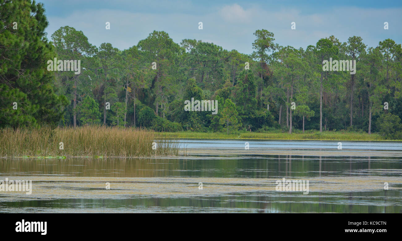 Walsingham lake hi-res stock photography and images - Alamy