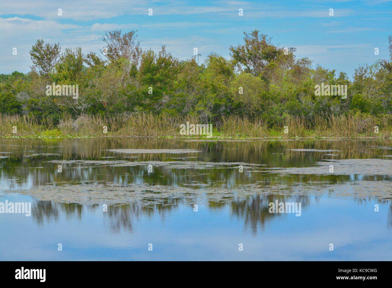 Walsingham lake hi-res stock photography and images - Alamy