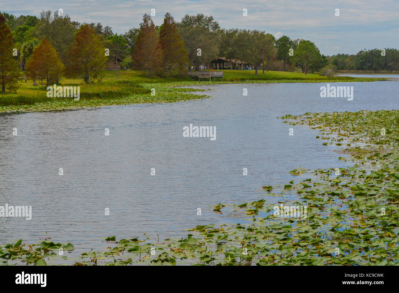 Title The view of Walsingham Lake at Walsingham Park Stock Photo - Alamy