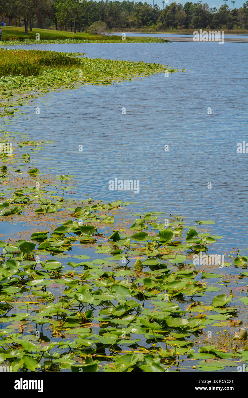 Title The view of Walsingham Lake at Walsingham Park Stock Photo - Alamy