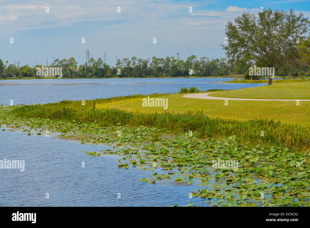 Title The view of Walsingham Lake at Walsingham Park Stock Photo - Alamy