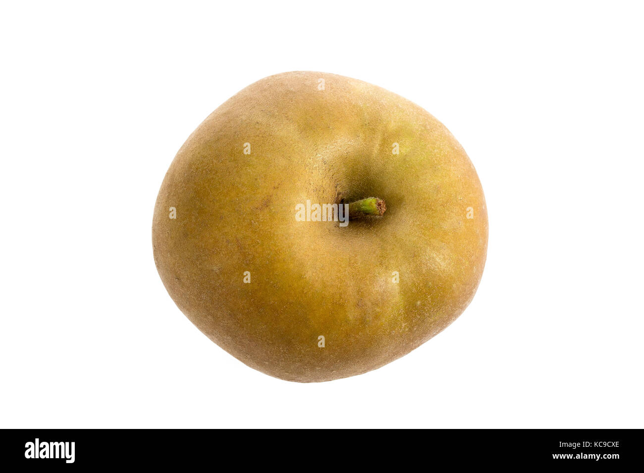 Rennet apples is a very old variety with a pleasant mild dry flavour on ...