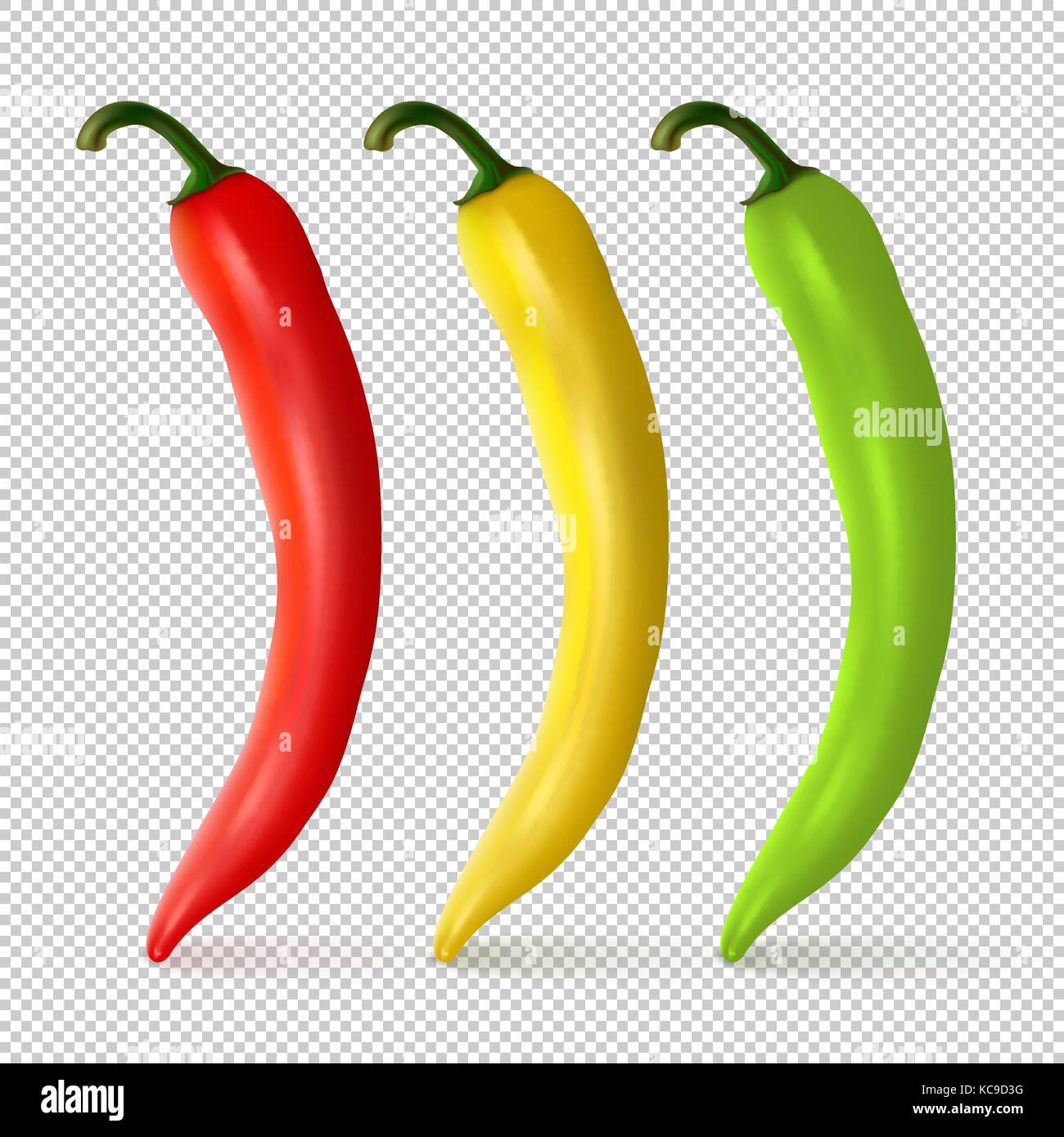 Realistic chili pepper template hi-res stock photography and images - Alamy