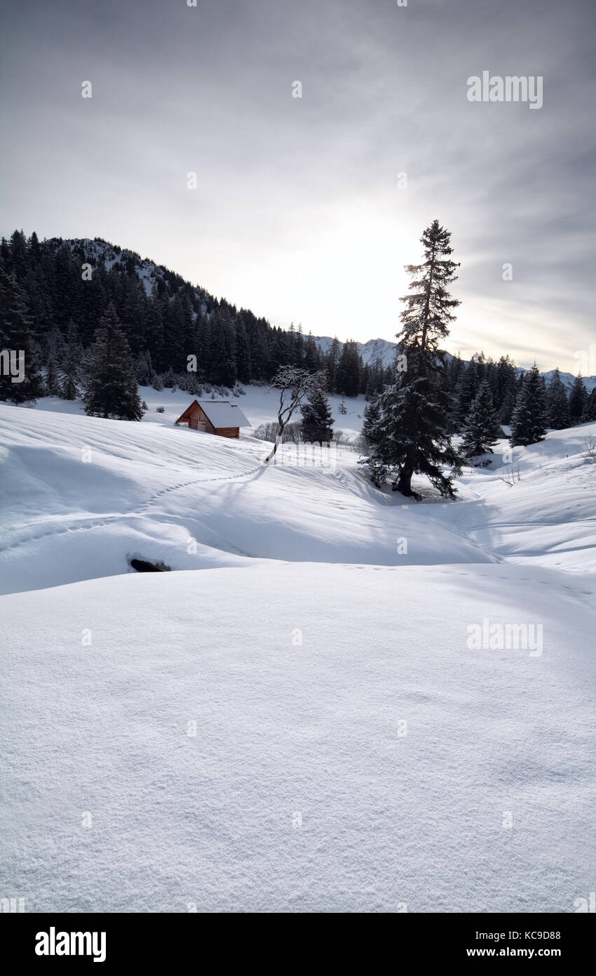 wooden cabin in deep snow in winter Alps Stock Photo - Alamy