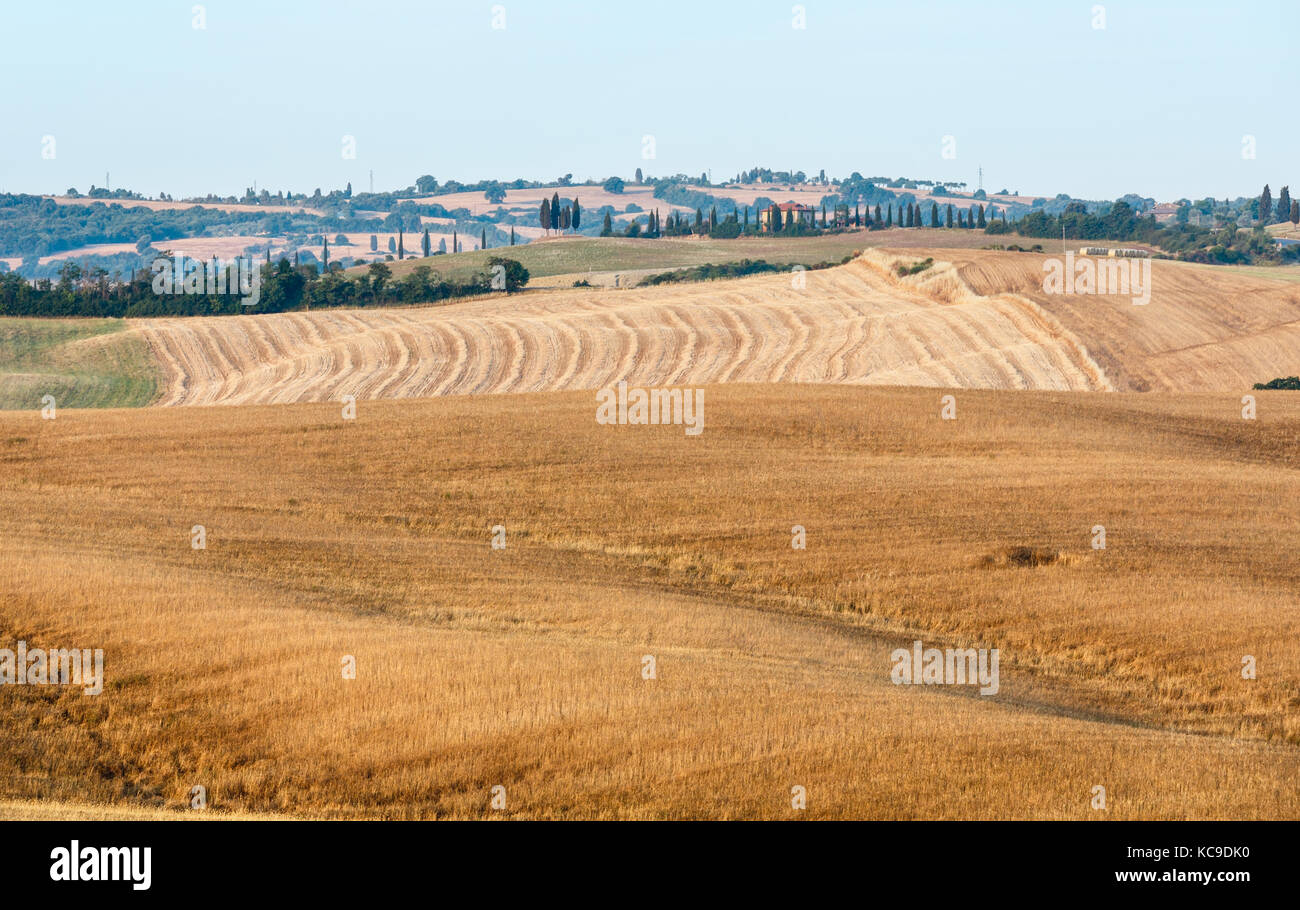 Beautiful landscape of summer morning sunrise countryside in Italy with ...