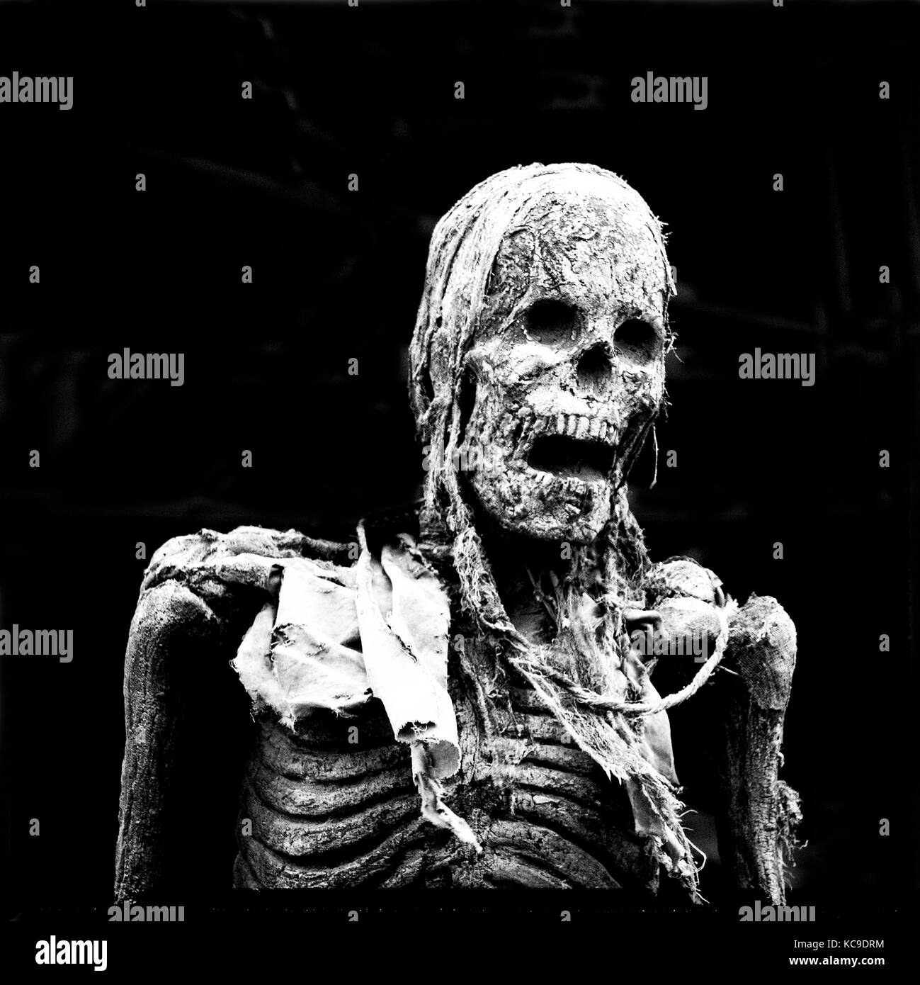 Dead skeleton human body Black and White Stock Photos & Images - Alamy