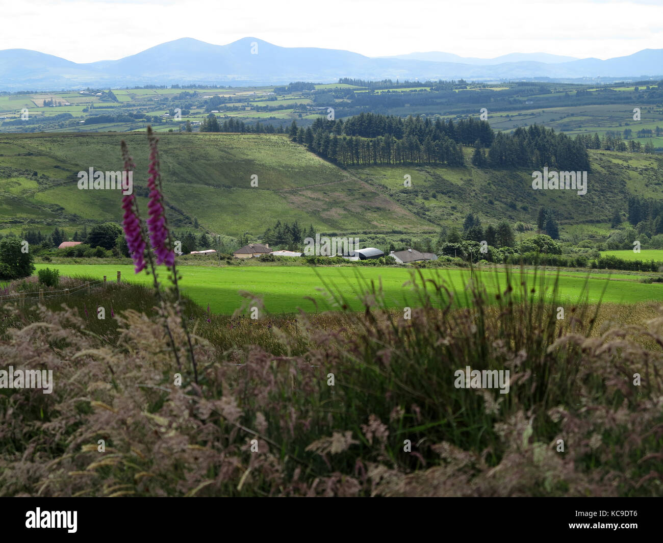View of the Kerry mountains from Taur - County Cork - Ireland Stock ...