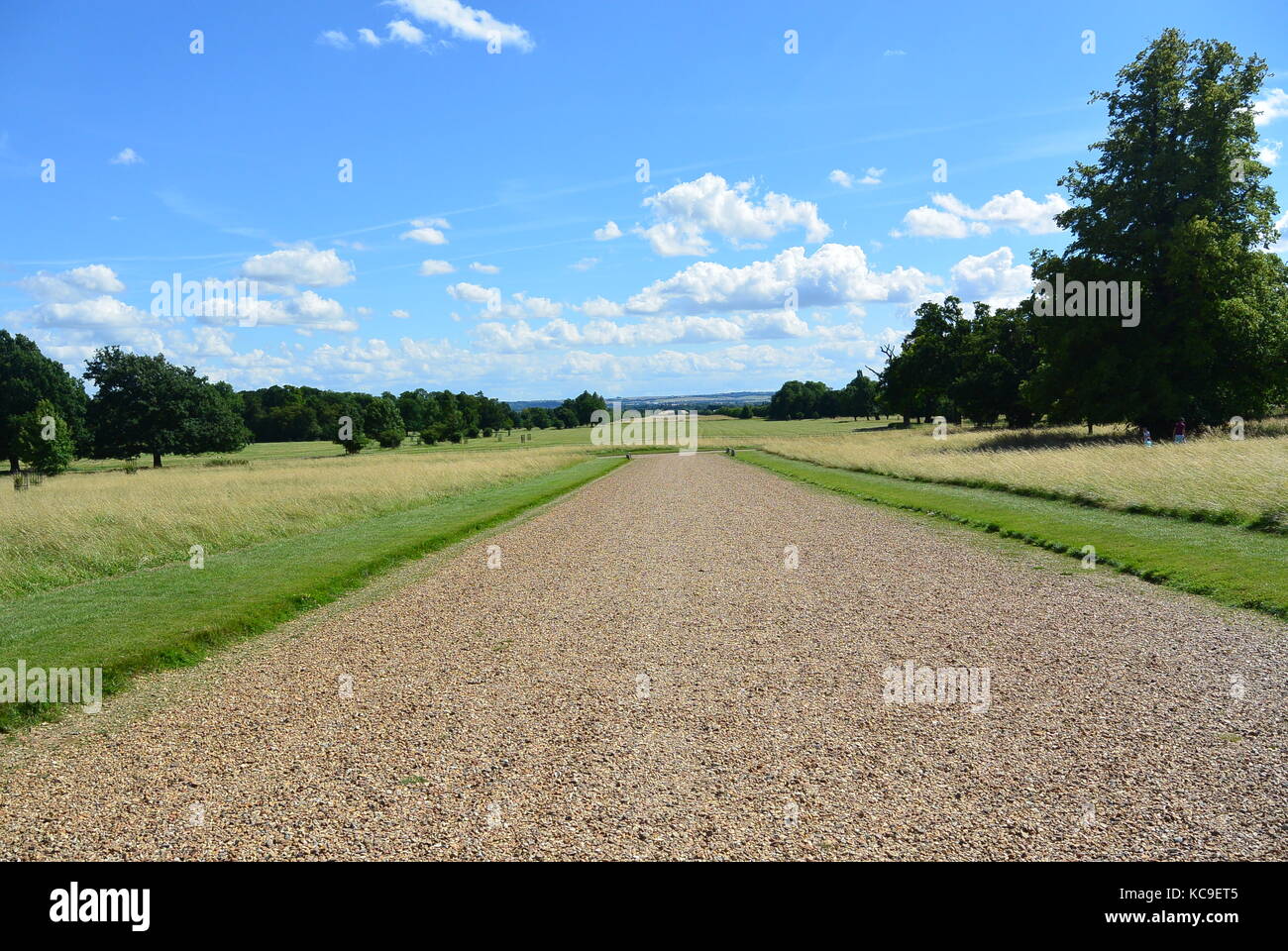 Looking down long country driveway Stock Photo - Alamy