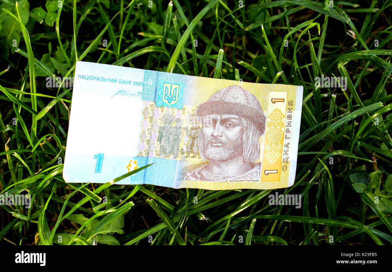 Ukrainian Hryvnia banknote on a grass background Stock Photo - Alamy