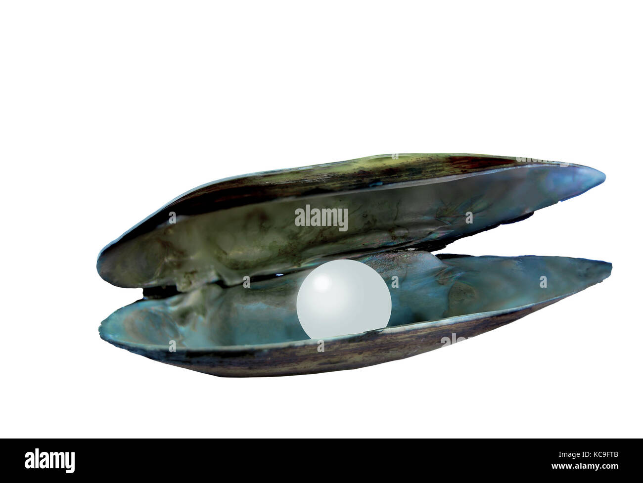 Conch pearls hi-res stock photography and images - Alamy