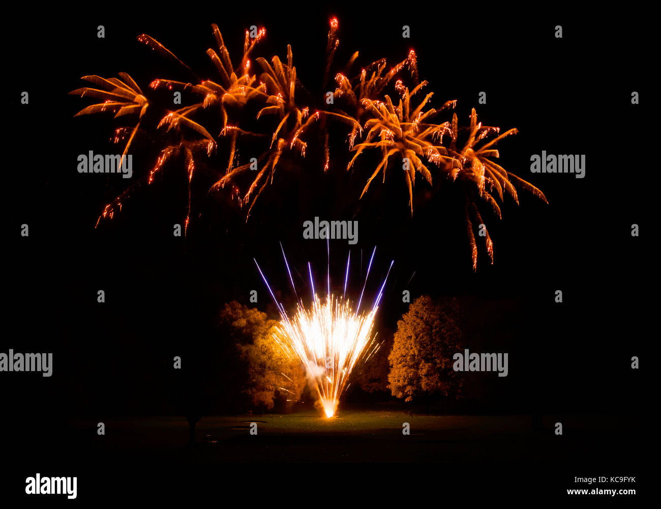 Fireworks in front of Woodland Stock Photo - Alamy
