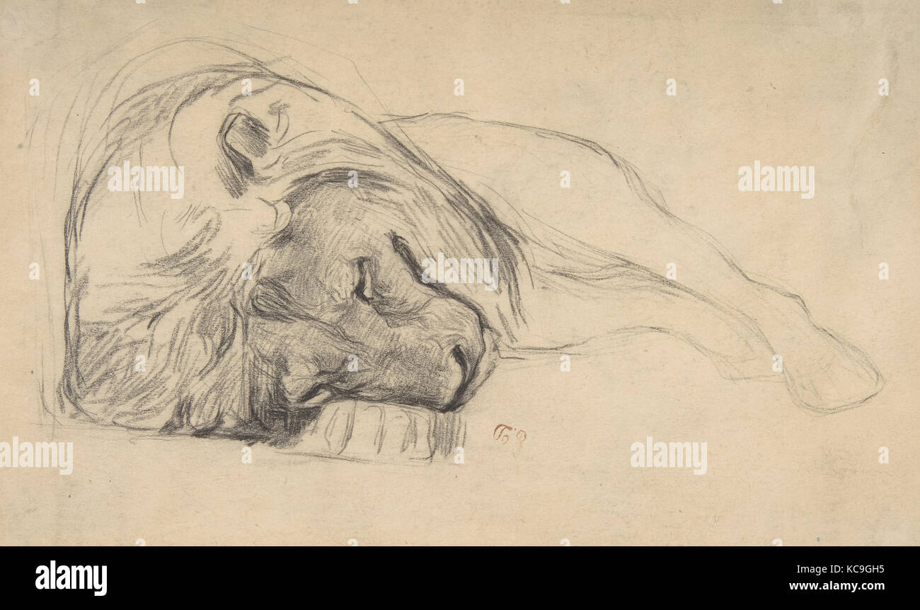 The Head of a Recumbent Lion, Attributed to Pierre Andrieu Stock Photo ...