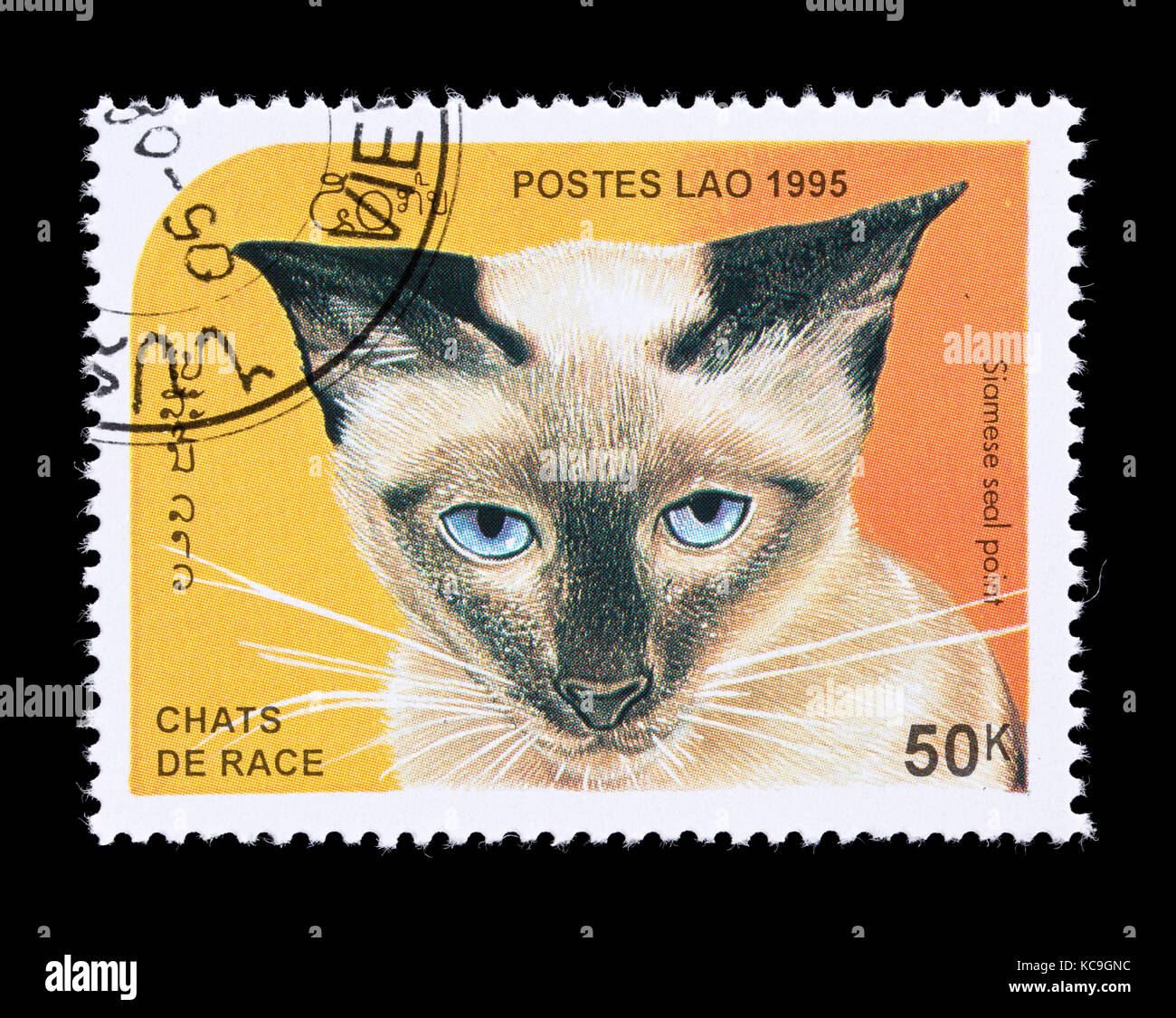 Siamese Stamp High Resolution Stock Photography and Images - Alamy