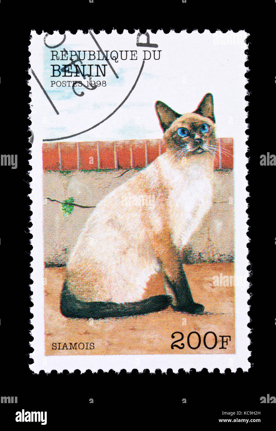 Siamese Stamp High Resolution Stock Photography and Images - Alamy