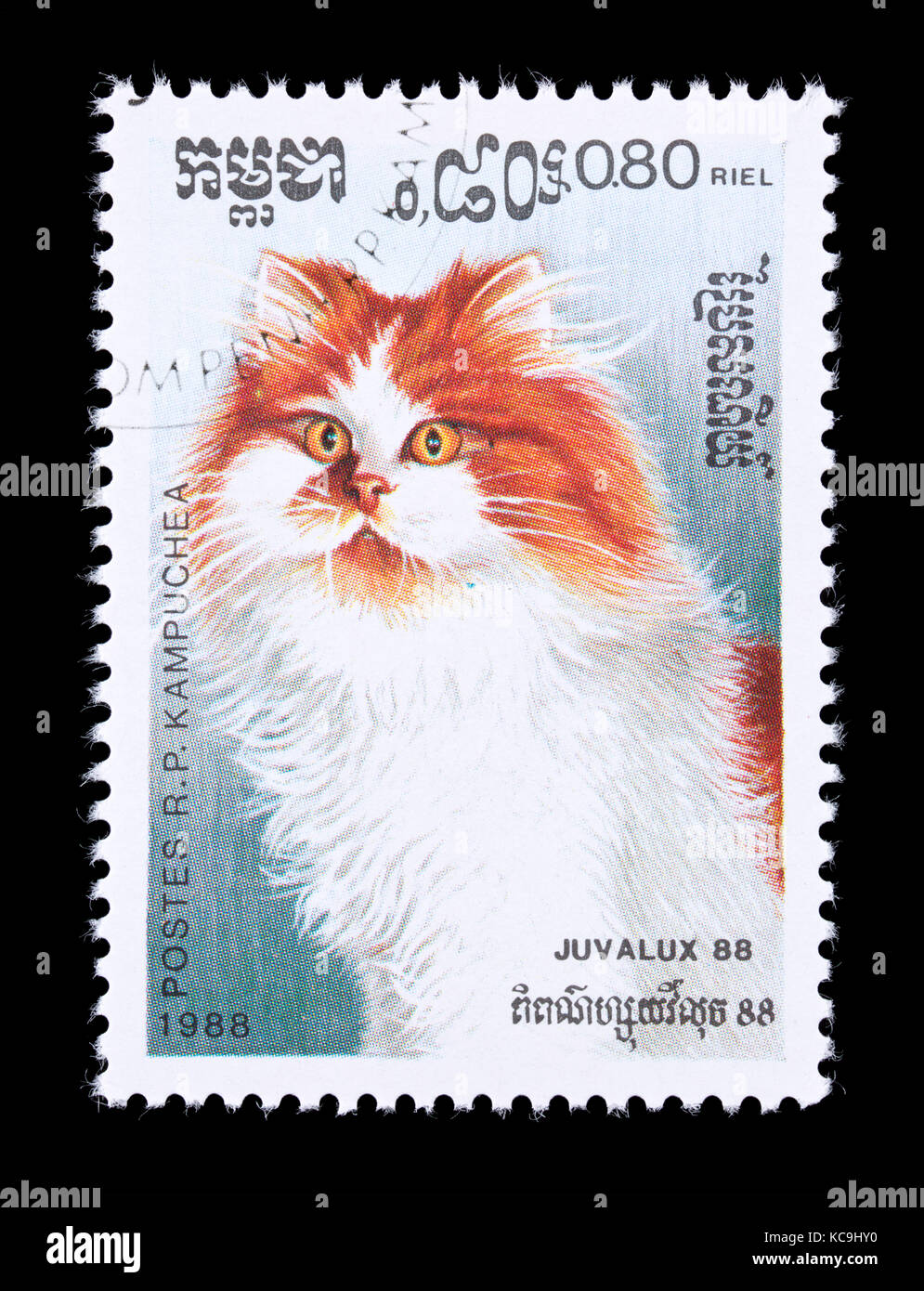 Postage stamp from Cambodia (Kampuchea) depicting a housecat Stock ...