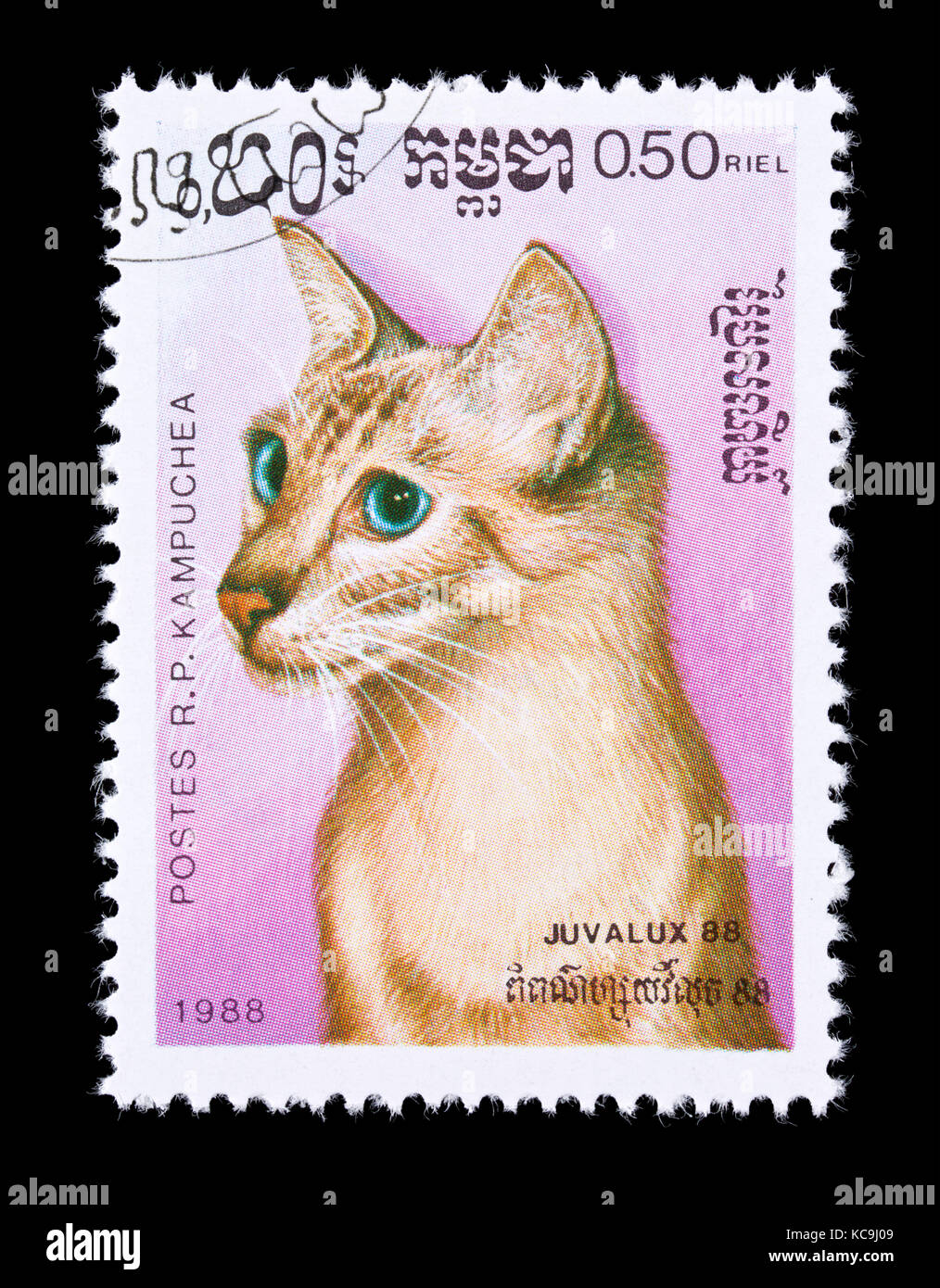 Postage stamp from Cambodia (Kampuchea) depicting a housecat Stock ...