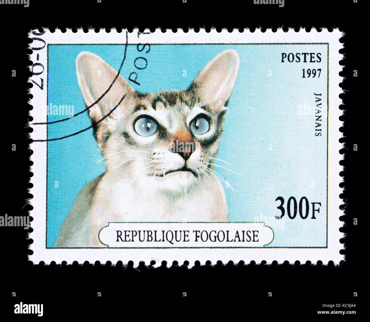 Togo cat hi-res stock photography and images - Alamy