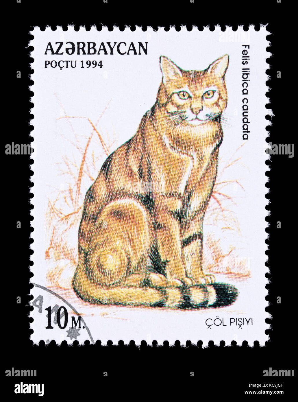 Postage stamp from Azerbaijan depicting a Kaffir cat (Felis libica ...