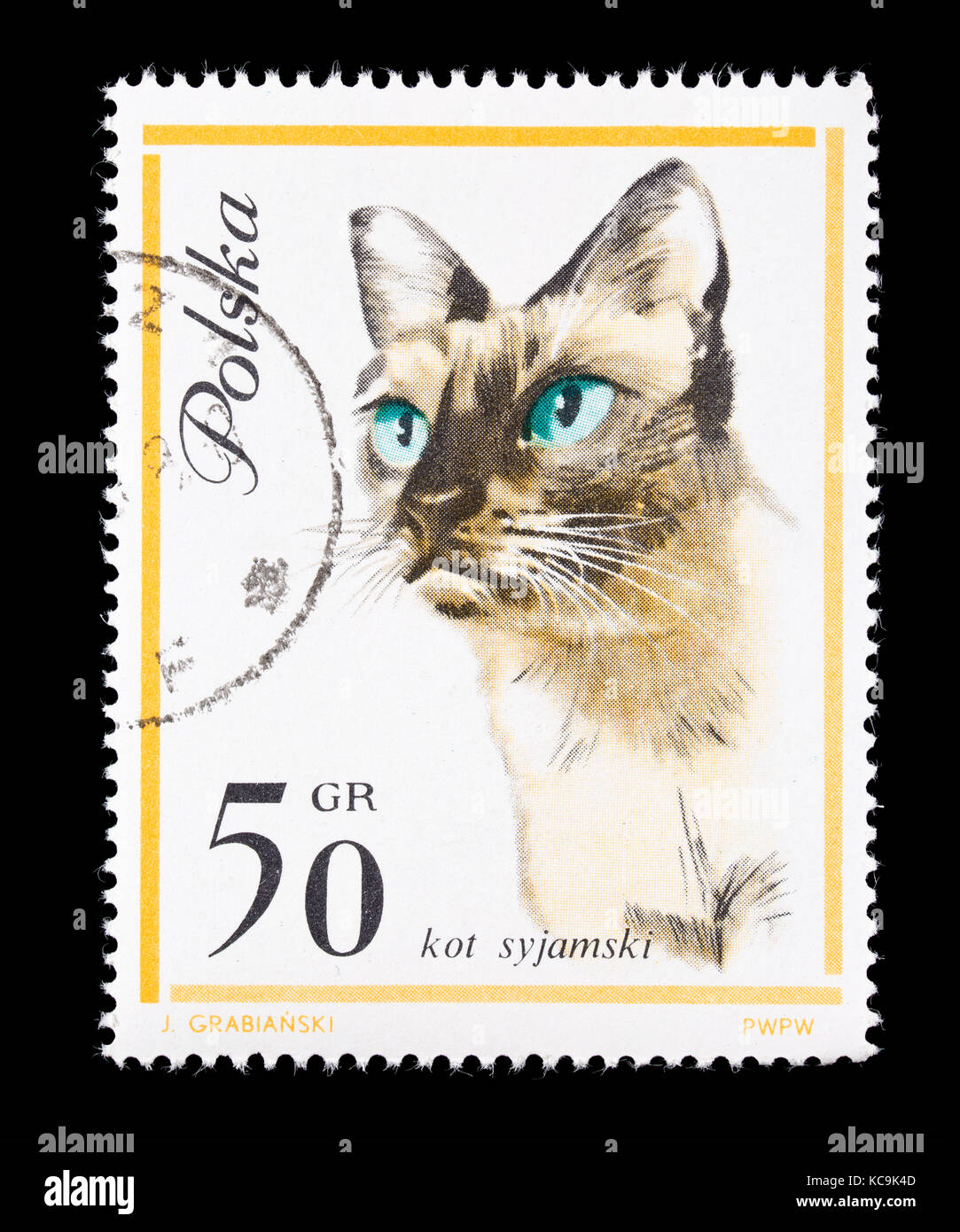 Postage stamp from Poland depicting a Siamese cat Stock Photo - Alamy