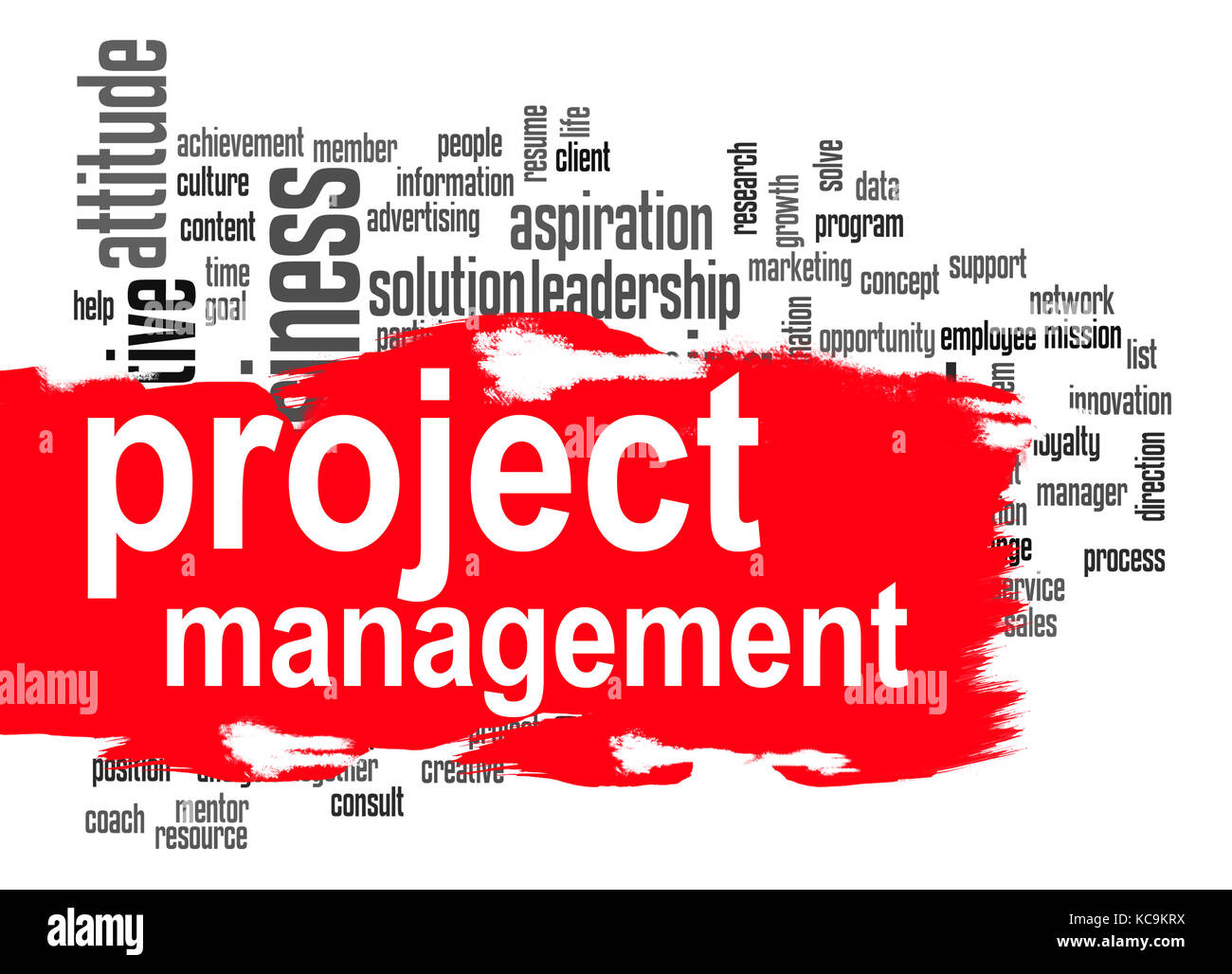 Project management word cloud image with hi-res rendered artwork that ...