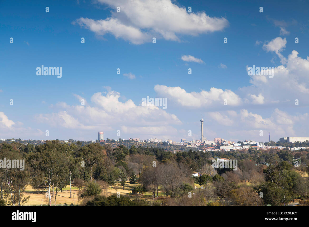 View of skyline from James and Ethel Gray Park, Melrose, Johannesburg ...