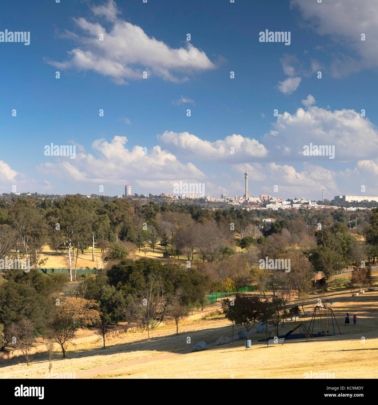 View of skyline from James and Ethel Gray Park, Melrose, Johannesburg ...