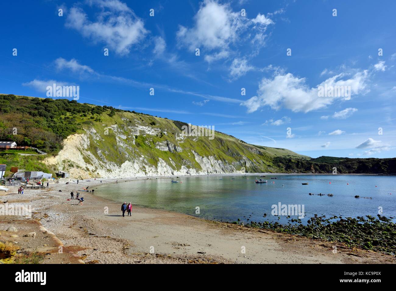 Lulworth cove Dorset England uk Stock Photo - Alamy