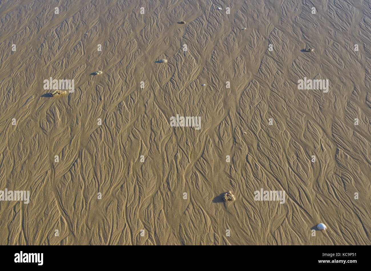 Beach sand patterns made by water during low tide Stock Photo - Alamy
