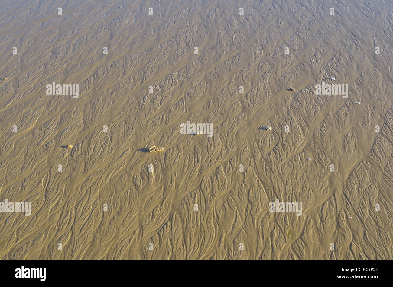 Beach sand patterns made by water during low tide Stock Photo - Alamy