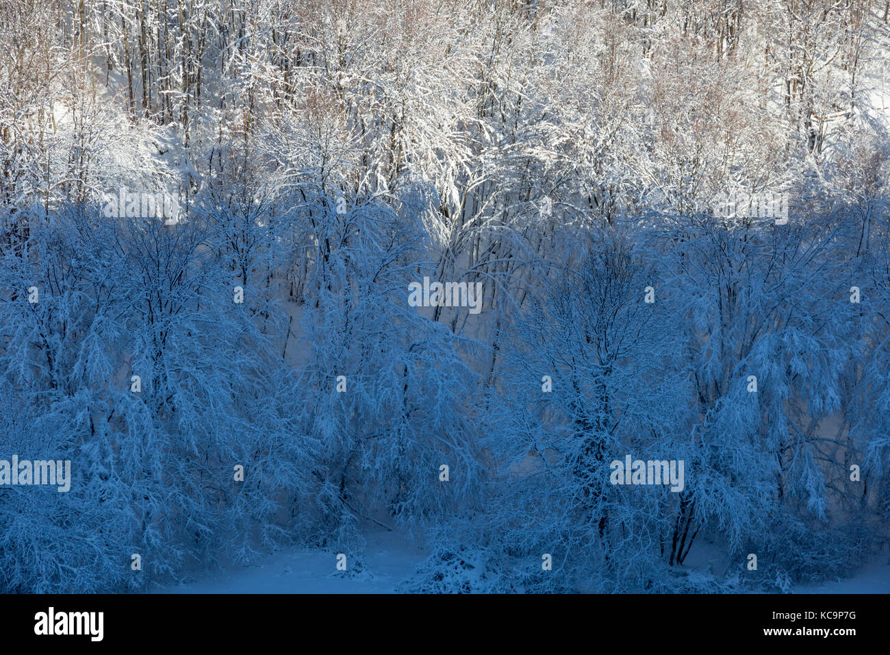 Kalnik mountain, Croatia Stock Photo - Alamy