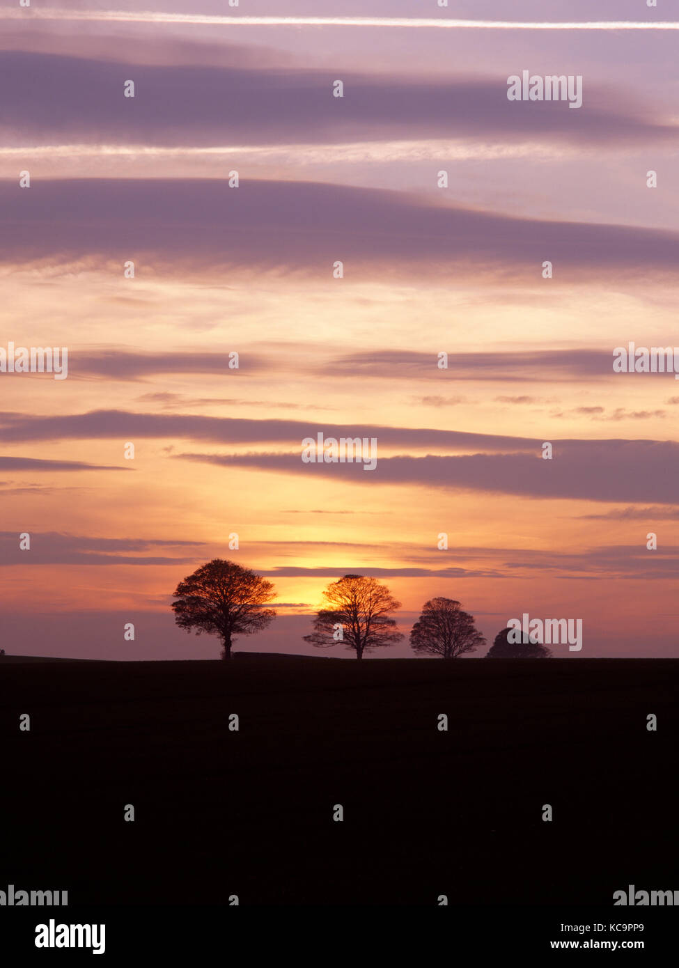 Ampleforth, North Yorkshire, England. Bare trees and bands of ...