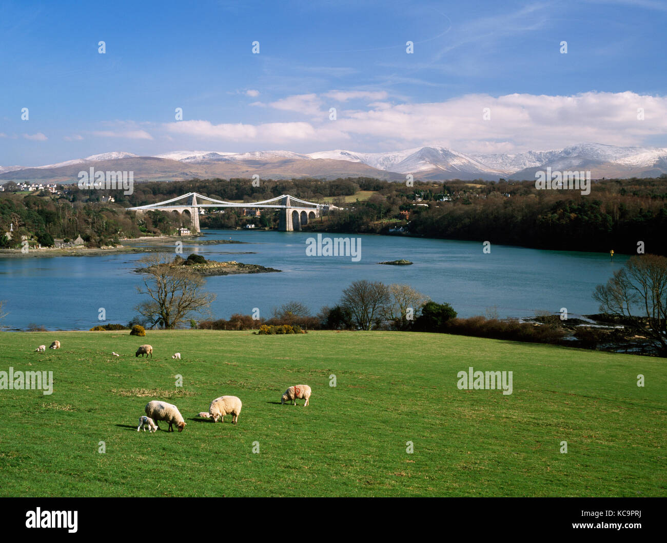 The Menai Bridge, St Tysilio’s Church, and Menai Strait. View from Isle ...