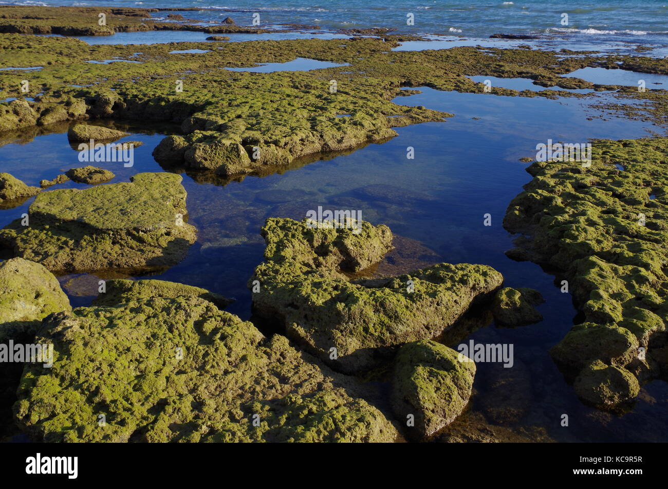Gale beach in Albufeira. Algarve, Portugal Stock Photo - Alamy
